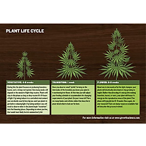 Growth Science Nutrients - Starter Pack