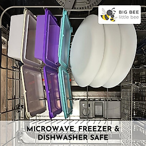 Big Bee, Little Bee - SoftShell Luncher Reusable Silicone Food Storage Container with Connected Clamshell Lid, Bento Style, Easy to Clean, Snaps Closed, Microwave, Freezer & Dishwasher Safe (Grape)