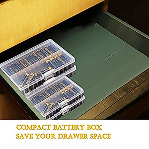 Whizzotech AA and AAA Battery Storage Case Holder Organizer Box Hold 48 AA and AAA (48 AA + 48 AAA)
