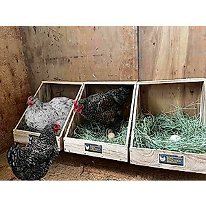 Single Compartment Hens Nesting Box, Chicken Coop Accessories, Wood Nesting Boxes for Up to 5 Hens, Big Duty Laying Nest Box for Duck and Poultry(1 pack)