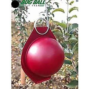 (40 Pack) Apple Maggot Trap Deluxe Kit - with NO Pesticides, Made in USA