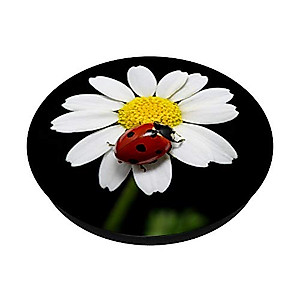 Cute Ladybug on Yellow Daisy Flower PopSockets Swappable PopGrip