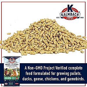 Kalmbach Feeds All Natural Non-GMO Flock Maintainer Pellets for Mixed Flocks of Poultry