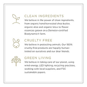 Zents Eau de Parfum (Ore) for Women & Men | Long-Lasting Clean Fragrance with Bay Laurel, Orris & Clove | Spicy & Earthy Scent | 1.69 oz