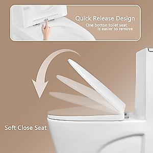 DeerValley Toilet, Elongated One Piece Toilet for Bathrooms, Comfortable Chair Seat Height 17", Dual Power Flush Toilet 1.1/1.6 GPF and MAP 900g, 12'' Rough-In Toilet Bowl