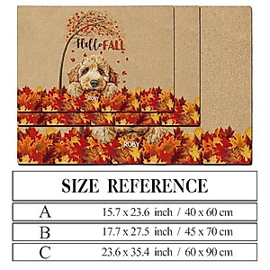 NeeQu Personalized Hello Fall Maple Leaves Door Mat Havanese Dog Autumn Decoration Doormat Home Entrance Way Floor Mat 23.6x35.4 Inch