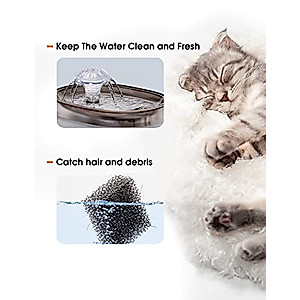 WOPET 8 Pack Replacement Pre-Filter Sponges for Pump from WOPET W300 and W500&W500B Automatic Pet Fountain Cat Water Fountain Dog Water Dispenser