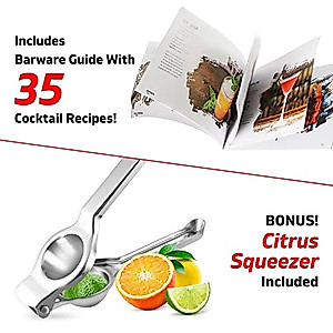 JoyTable Bar Set Cocktail Shaker Set, Stainless Steel Mixology Bartender Kit, 16PC Cocktail Kit, Silver Cocktail Set, Bar Tools: 30oz Martini Shaker, Muddler, Bar Kit Cocktail Book, Jigger and Pourers