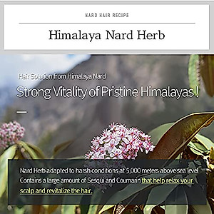 Bouquet Garni NARD Scalp Deep Cleansing Shampoo 33.8 Fl Oz - Natural Surfactant Anti Dandruff Shampoo for Itchy Dry Scalp - Natural Calming Ingredients Lavender Rosemary Argan Jojoba Oil Amino Acids