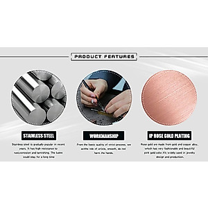 Auoy Dhof Tennis Bracelet Titanium Steel Bracelet Ladies Bracelet Double Buckle Adjustable AAA Cubic Zirconia (Steel Color (2))