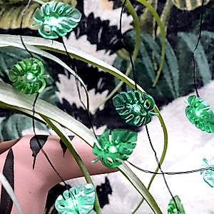 MIYA LIFE Ocean Light for Beach Decor Battery Operated Beach Decorations for Home Beach Room Decor Coconut Girl Room Decor (Tropical Fairy)