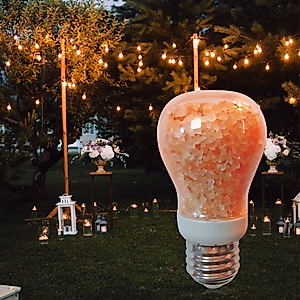 Himalayan Glow Salt Light Bulbs 60-Watt Equivalent, Warm Amber Glow, 7 watts, 2 Count (Pack of 1)