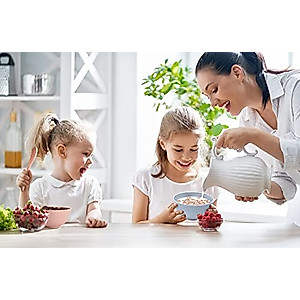 FOODLE Wheat Straw Dinnerware Sets for 4 - Lightweight & Unbreakable Dishes - Microwave & Dishwasher Safe - Perfect for Camping, Picnic, RV, Dorm - Plates, Cups and Bowls - Great for Kids & Adults