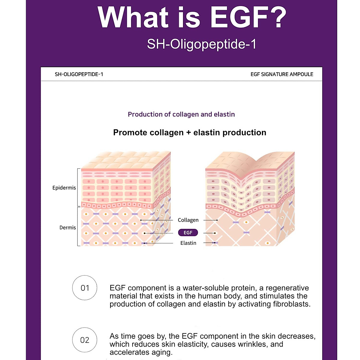 MIBA EGF Signature Ampoule 20ml / 0.68 fl.oz Skin apex that wakes up with one drop, EGF peptides, Night Serum, Watery, Light Texture