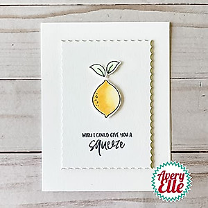 Avery Elle Clear Stamp Set 4"X6"-Be Zesty -AE2221