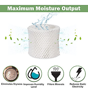 Future Way HC-888 Humidifier Filter C Compatible with Walgreens Cool Mist Humidifier, Honeywell HC 888 Series, HCM 890 Series, 4-Pack