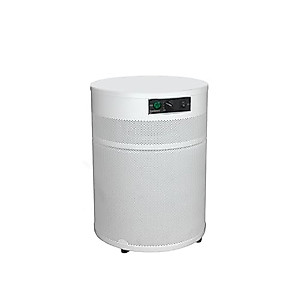 Airpura R400-The everyday air purifier
