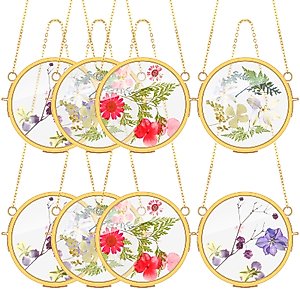 BBTO 8 Pack Round Hanging Glass Frame Small Brass Hanging Photo Frames Set Wall Mounted Gold Double Glass Display for Pressed Flowers Photos Dried Specimen DIY Artwork Display Decoration, 3.9 Inch