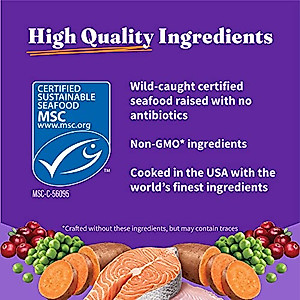 Halo Holistic Indoor Cat Food Dry, Grain Free Wild-caught Salmon & Whitefish Recipe for healthy weight support, Complete Digestive Health, Dry Cat Food Bag, Adult Formula, 6-lb Bag