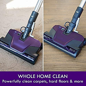 Kenmore 600 Series Friendly Lightweight Bagged Canister Vacuum with Pet PowerMate, Pop-N-Go Brush, 2 Motors, HEPA Filter, Aluminum Telescoping Wand, Retractable Cord and 4 Cleaning Tools, Purple
