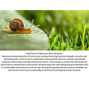 ZAIN1 Natural Hair growth serum with Snail Mucin, Rosmary, Niacinamide, Hyaluronic acid, Azelaic acid, Nettle, and Much More Natural Ingredients (Mimosa, 3.4 oz). Our products are made by nature