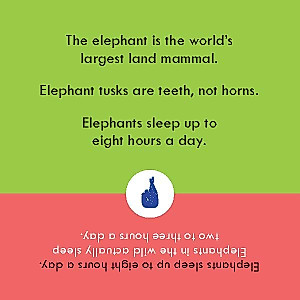 After Dinner Amusements: Odd Fact Out: 50 General Knowledge Trivia Challenges