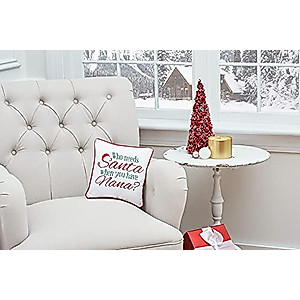 C&F Home Who Needs Santa When You Have Nana Holiday Sentimental Embroidered Saying Decor Decoration Accent Christmas Pillow 10 x 10 Multi