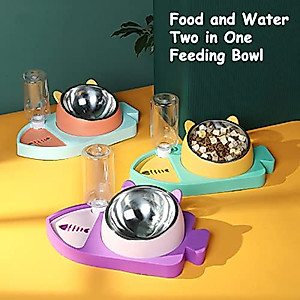 Pet Bowl Food and Water Two in One Feeder Anti-Choking Stainless Steel Dog Cat Bowl Kit Removable Automatic Water Refill No Spill Dripless Water Bottle Feeding Bowl (Blue)