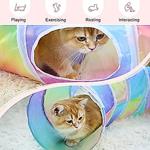 pickyNproud Cat Tunnel, S-Shape Cat Tunnels for Indoor Cats Foldable Cat Toys Cute Cat Tube with Mouse Toy Pet Cat Stuff