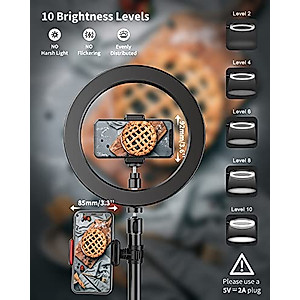 LUOLED Ring Light with Stand and Phone Holder, USB 10'' Ring Light for Desk, Overhead Camera Mount with Ring Light, Desktop Ring Light with Clamp for Photography/Makeup/Live Stream Video/YouTube