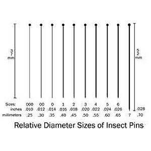 Premium Black ENAMELED Insect PINS Variety Pack, Sizes 000 Through 4, 350 CT.