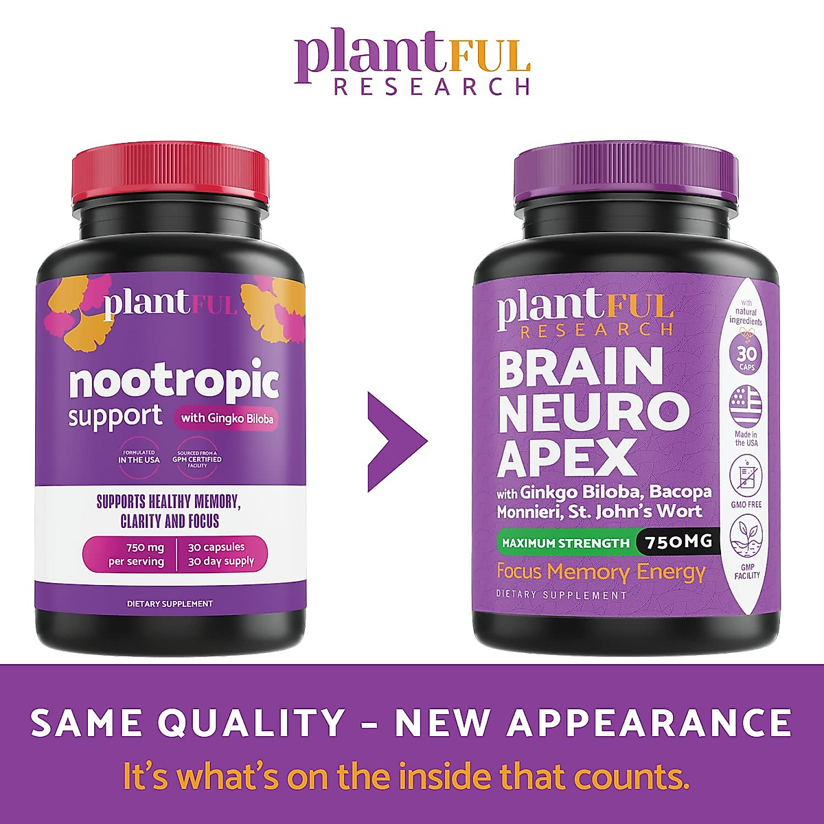 Nootropic Brain Supplement For Focus, Energy, Memory & Clarity Booster | Fast Absorption Brain Vitamins For Adults – Nootropics Pills With Ginkgo Biloba, St Johns Wort, Bacopa Monnieri