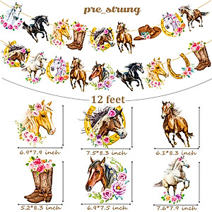 Western Cowgirl Themed Party Decorations - 2pcs Cowgirl Banner Decorations for Horse Birthday Party & Baby Shower Supplies