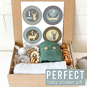 16 Monthly Baby Milestone Stickers Boy - Deer Baby Monthly Milestone Stickers for Baby Boy, Milestone Baby Monthly Stickers, Baby Month Stickers for Baby Photo Props, Monthly Baby Stickers Boy