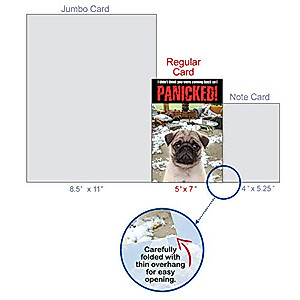 NobleWorks - 1 Cute Birthday Card with Envelope - Funny Wild Animals and Pets, Birthday Greeting - Dog Panicked C2233BDG