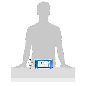 Nice 'N Clean Baby Wipes Soft-Pack with Aloe - Unscented, Hypoallergenic, 80 Wipes(pack of 12)