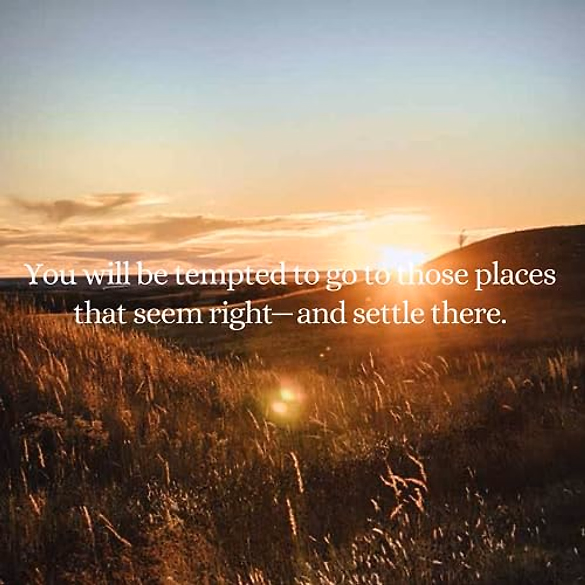 Ruth - Storyteller - Bible Study Book: Faithfulness in Famine