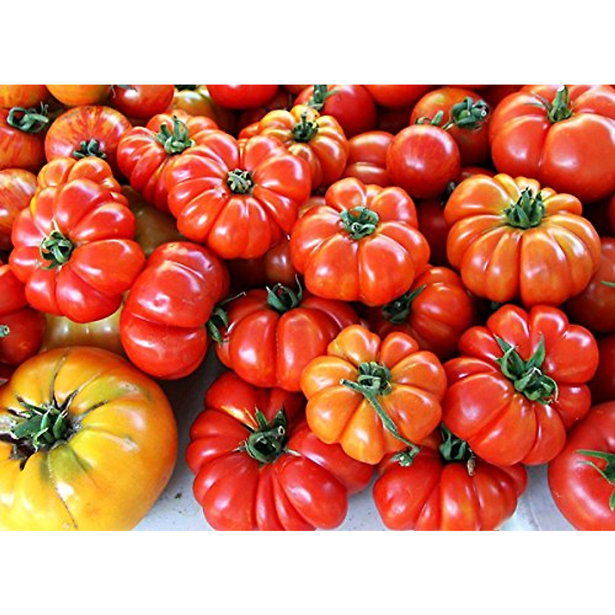 30+ Costoluto Genovese Pomodoro Tomato Seeds, Heirloom Non-GMO, Low Acid, Indeterminate, Open-Pollinated, Productive from USA