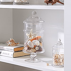 Motifeur Glass Apothecary Jars, Bathroom Storage Organizer Stand, Decorative Wedding Candy Buffets Container (Clear)