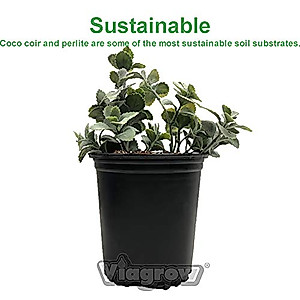 Viagrow VPER1 VPER Perlite 29 Quarts, 1 Cubic Foot, 1-Pack, White, Horticulture-29Q