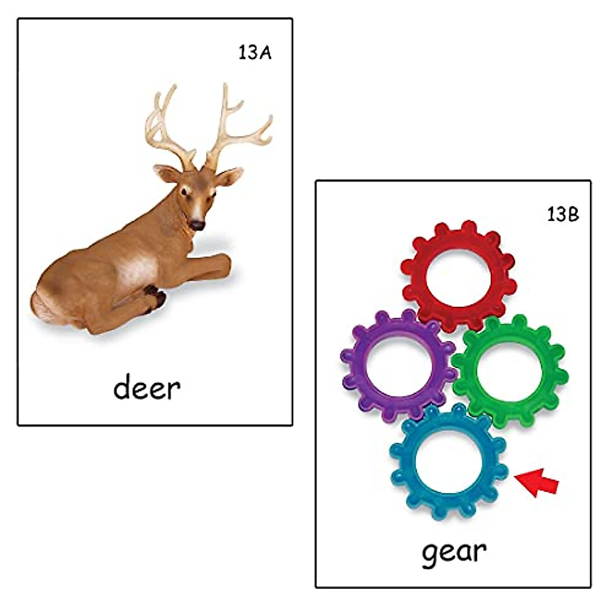 Super Duper Publications | Webber® Photo Phonology Fronting Minimal Pair Flash Card Deck | Educational Learning Resource for Children