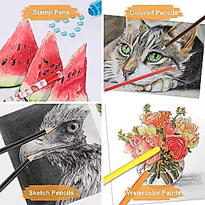 POPYOLA 109-Piece Deluxe Art Set in a Carring Luggage Case Drawing Painting Kit, Creative Gift Box for Kids Teens Adults Artist Beginners, Art Kit, Art Supplies