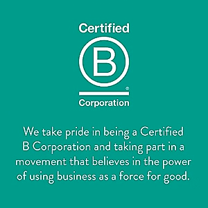 Stash Tea Earl Grey Black Tea, Box of 100 Tea Bags (Packaging May Vary)