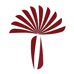 THREE ARCHERS 40 PK Arrow Feather Fletching 4” Nature Turkey Feather for Archery DIY Arrows (red)