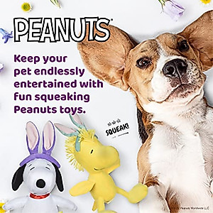 Peanuts for Pets Easter 6" Snoopy & Woodstock Bunny Ears Plush Squeaker Toy 2PC | Peanuts Dog Toys, Snoopy & Woodstock with Bunny Ears| Easter Dog Gifts | Snoopy Toys for Dogs