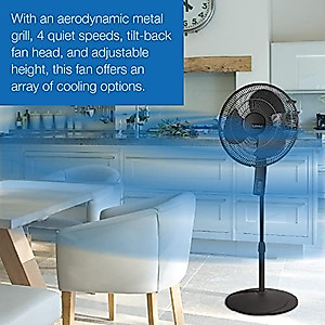 Lasko Oscillating Pedestal Fan, Thermostat, Adjustable Height, Remote Control, Timer, 4 Speeds, for Bedroom, Living Room, Office & Dorm, 16", Black, S16612
