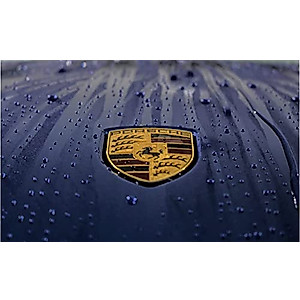 CARPRO HydrO2 Touchless Silica Sealant - Spray-On/Rinse-Off Paint Sealant, UV Protection - 100mL (3.4oz)