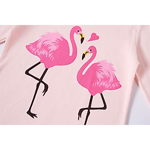 Popshion Little Girls Pajamas Sets Toddler Long Sleeve Leggings Outfits 2 Piece for Kids(Flamingos-6217 6T)