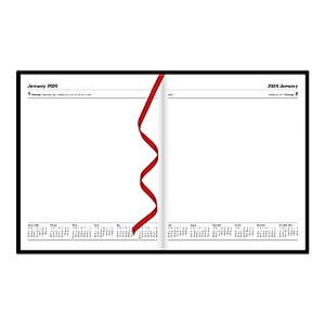 Letts of London Standard Daily Planner, 12 Months, January to December, 2024, Day-Per-Page, Quarto Size, 10.25" x 8.25", Black (C10YBK-24)