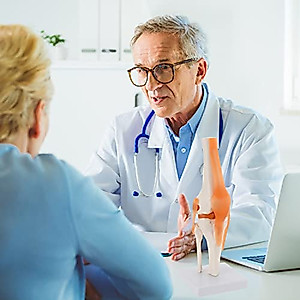 RONTEN Anatomical Knee Model, Flexible 1:1 Scientific Life Size Human Knee Model with Ligament, Teaching Tool for for Doctors Office Educational Anatomy Tool